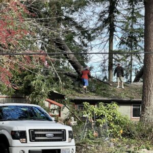 Kat Klockow- author-illustrator-editor – Home of RedCat Comics Studio