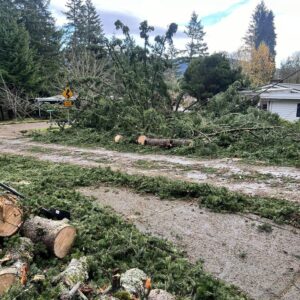 Kat Klockow- author-illustrator-editor – Home of RedCat Comics Studio