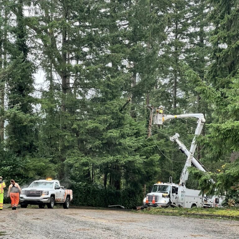 Kat Klockow- author-illustrator-editor – Home of RedCat Comics Studio