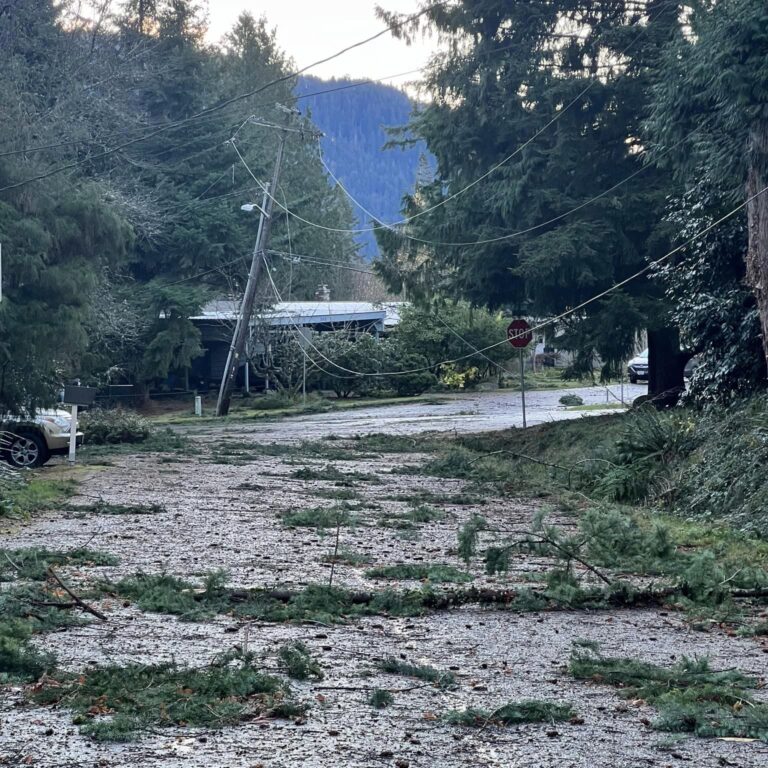 Kat Klockow- author-illustrator-editor – Home of RedCat Comics Studio