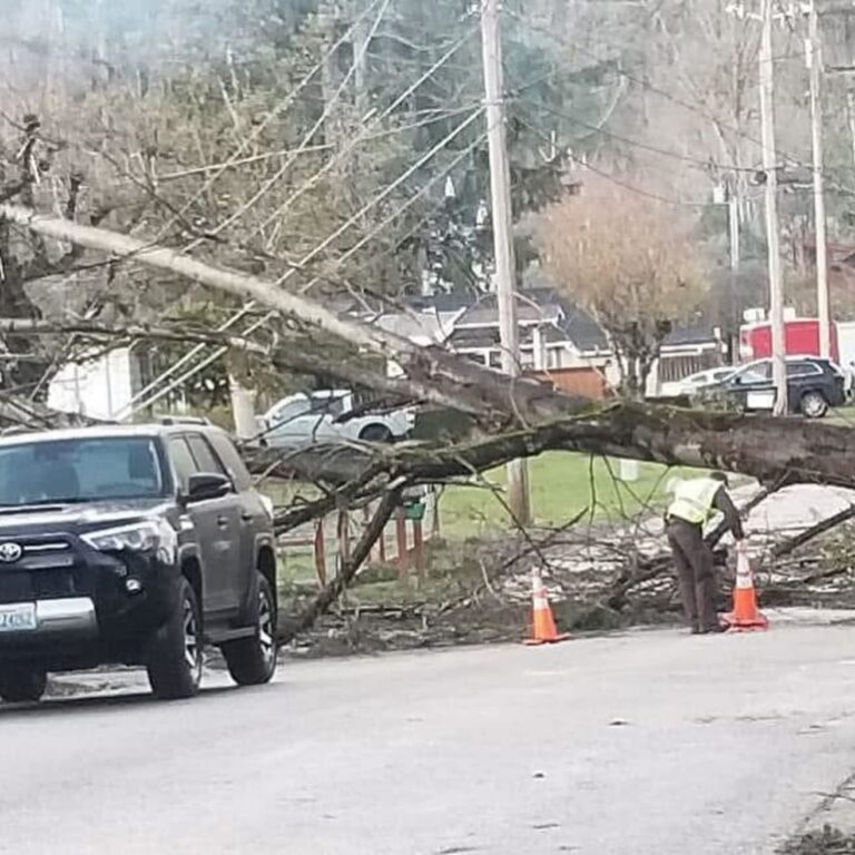 Kat Klockow- author-illustrator-editor – Home of RedCat Comics Studio